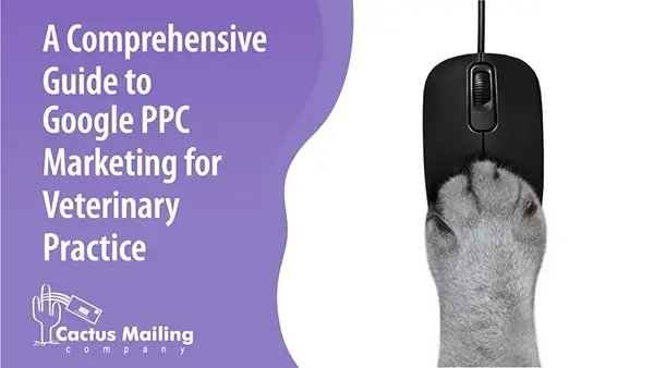 A Comprehensive Guide to Google PPC Marketing for Veterinary Practice